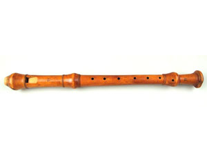 Recorder Instrument